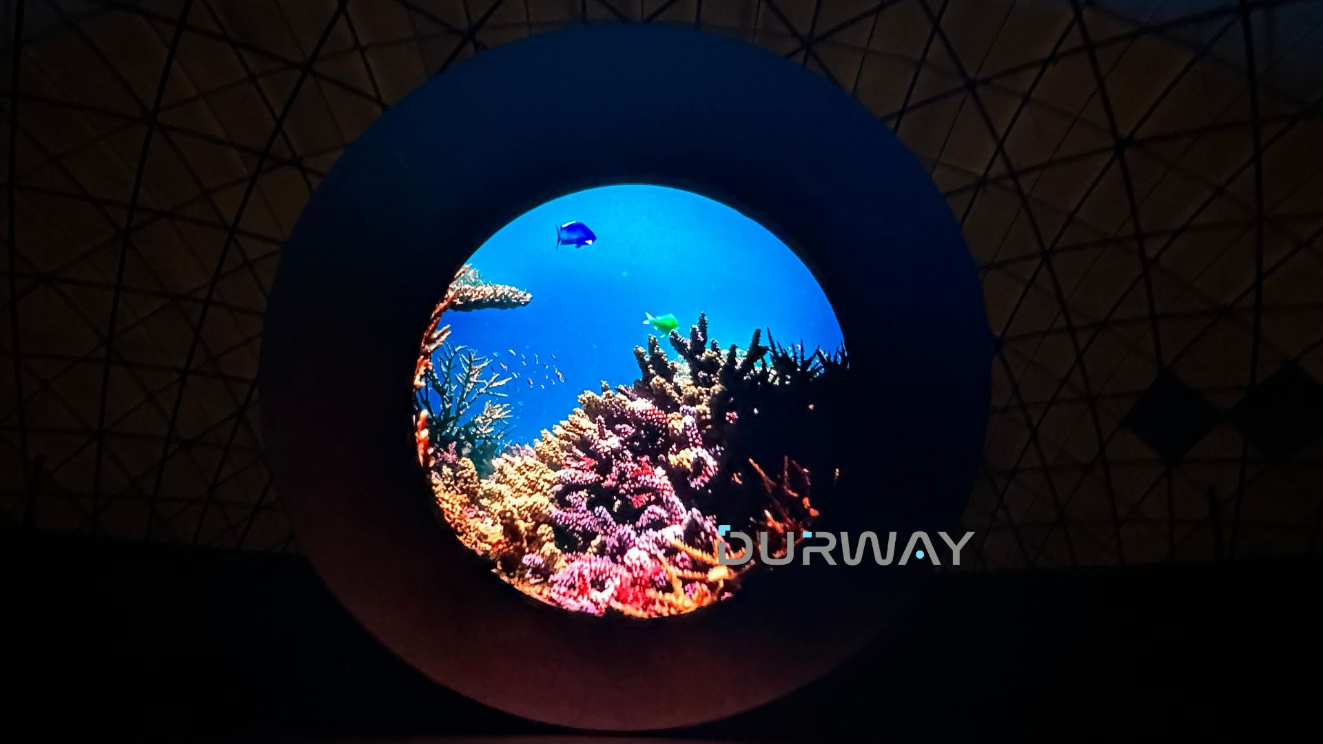 LED Sphere Display by Durway | Immersive 360° Visuals